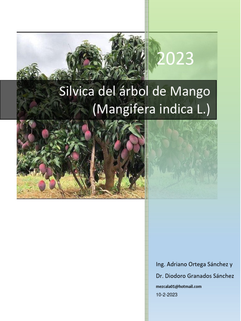 072 Silvica de Mango 70 | PDF | Mango | Semilla