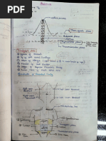 Dr Adel Bondok S Upper Limb Anatomy Pdf Pdf
