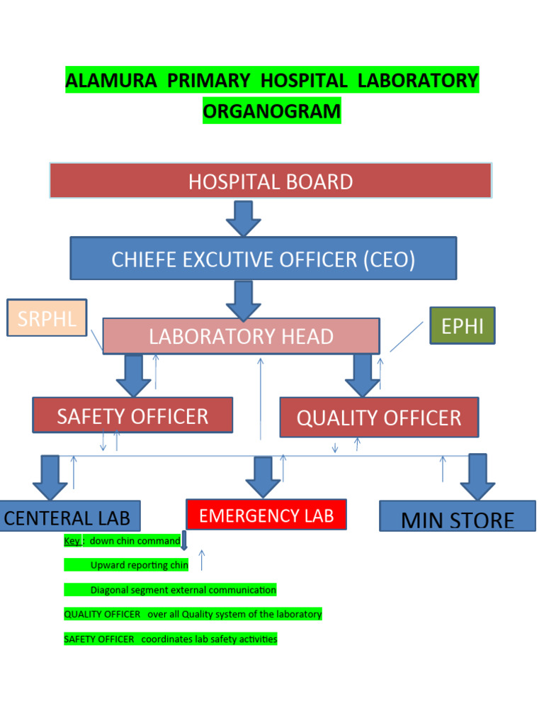 Lab Organogram | PDF