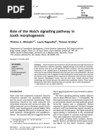 Overview of Bite Raisers in Orthodontics | PDF | Orthodontics | Dental ...