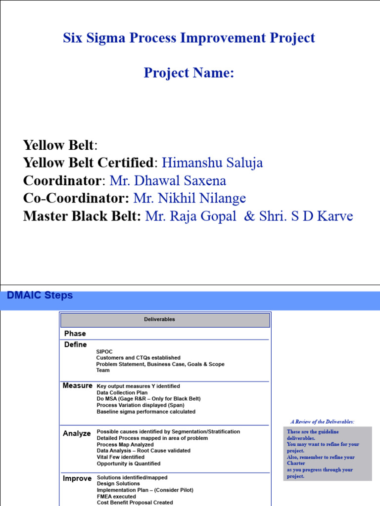 Six Sigma Project (Mavericks) | Download Free PDF | Six Sigma ...