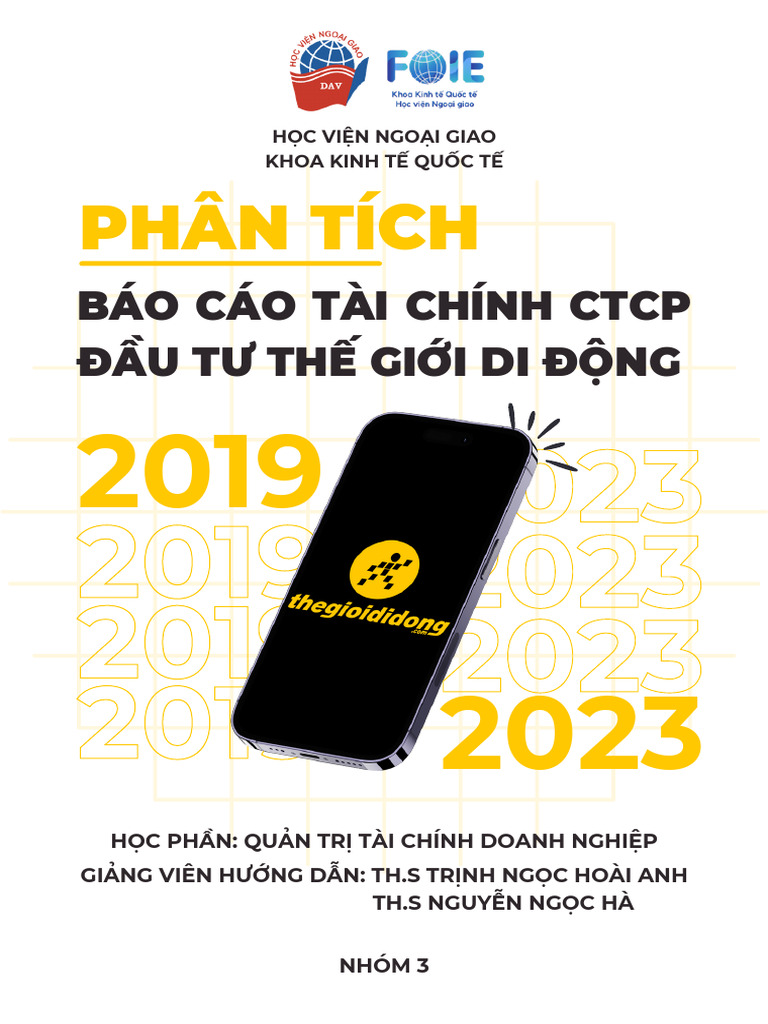 Bài Phân Tích BCTC | PDF