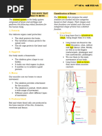 The Skeletal System - Skeleton - Living Organisms - KS3 Biology - BBC ...