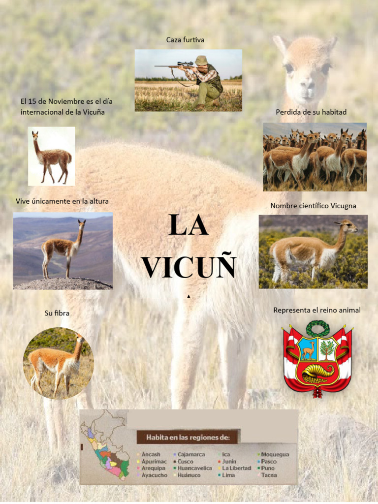 La Vicuña | PDF