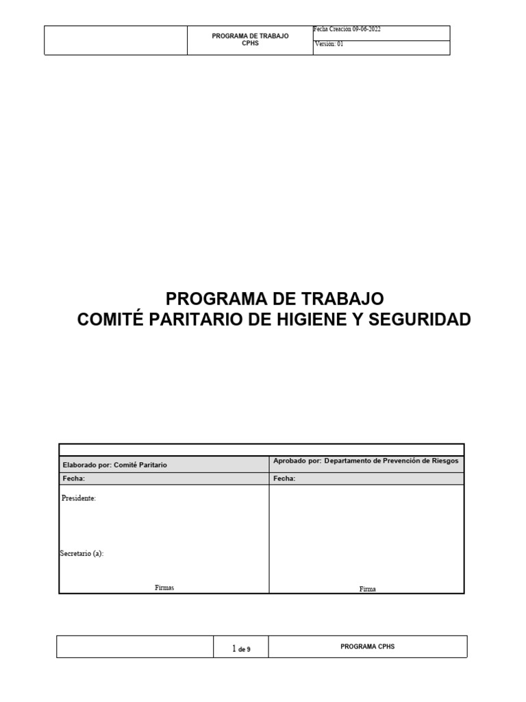 Programa Trabajo Comite Paritario de Higiene y Seguridad | PDF | Valores | La seguridad
