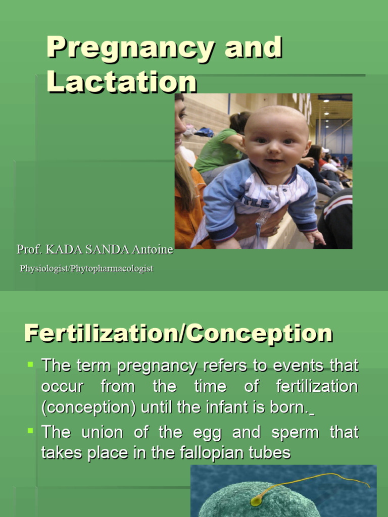 Pregnancy | PDF | Biological Processes | Biology