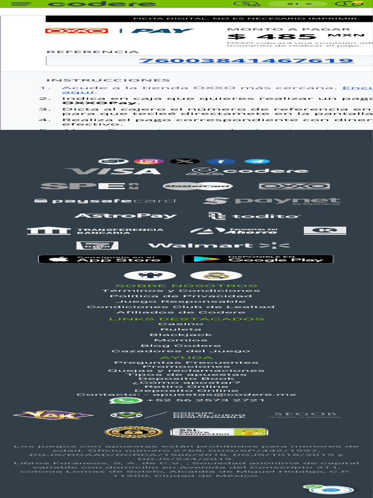 Cajero | PDF | Juego