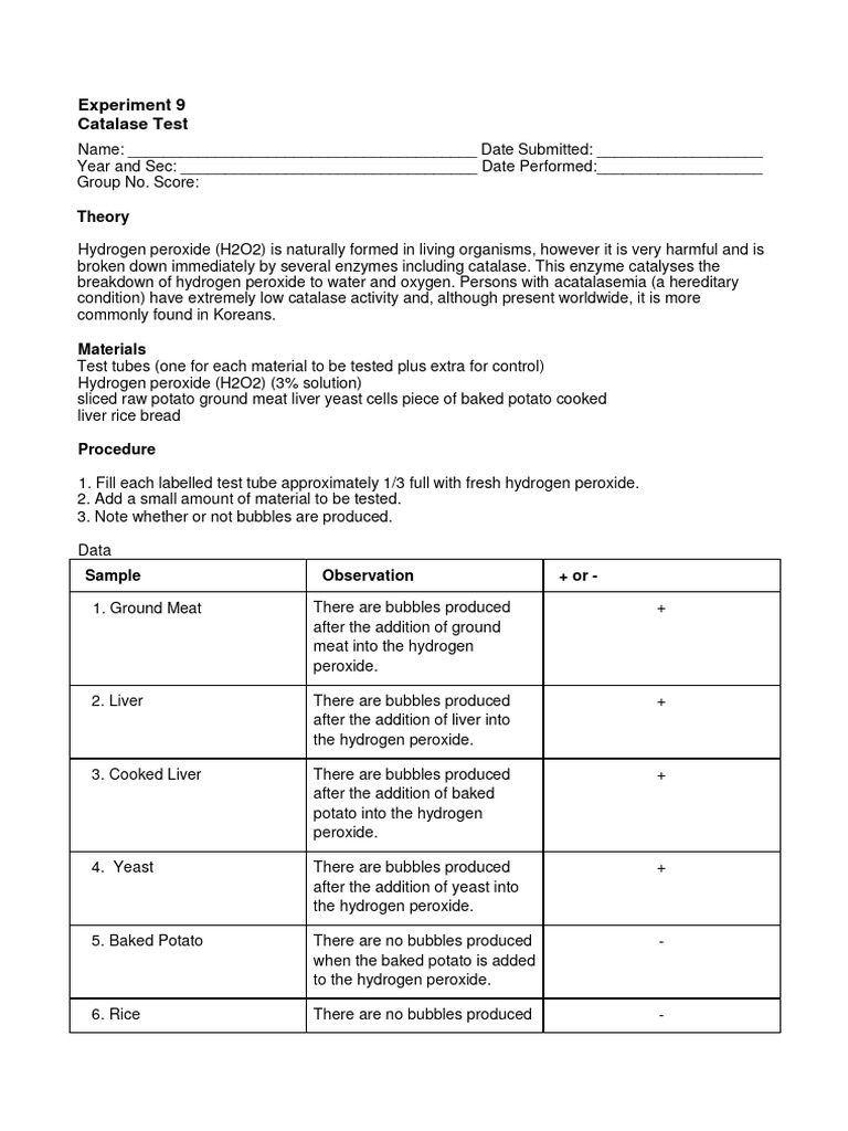 Exercise 9 Catalase Test | Download Free PDF | Catalase | Hydrogen Peroxide