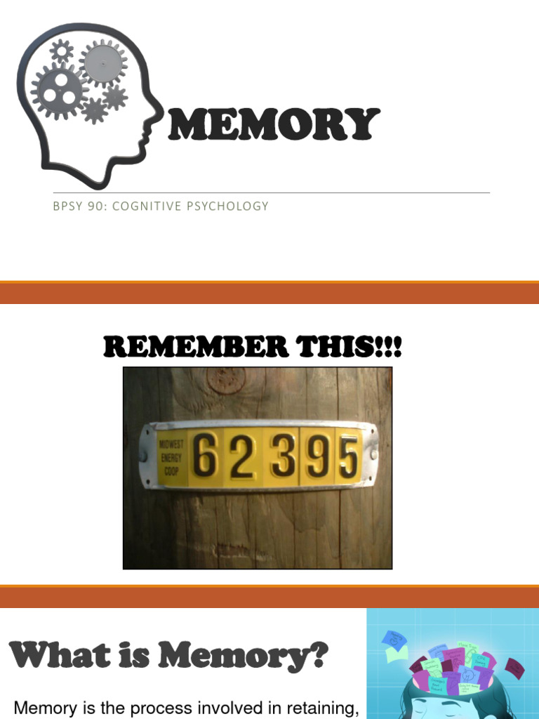 MEMORY | PDF | Memory | Working Memory