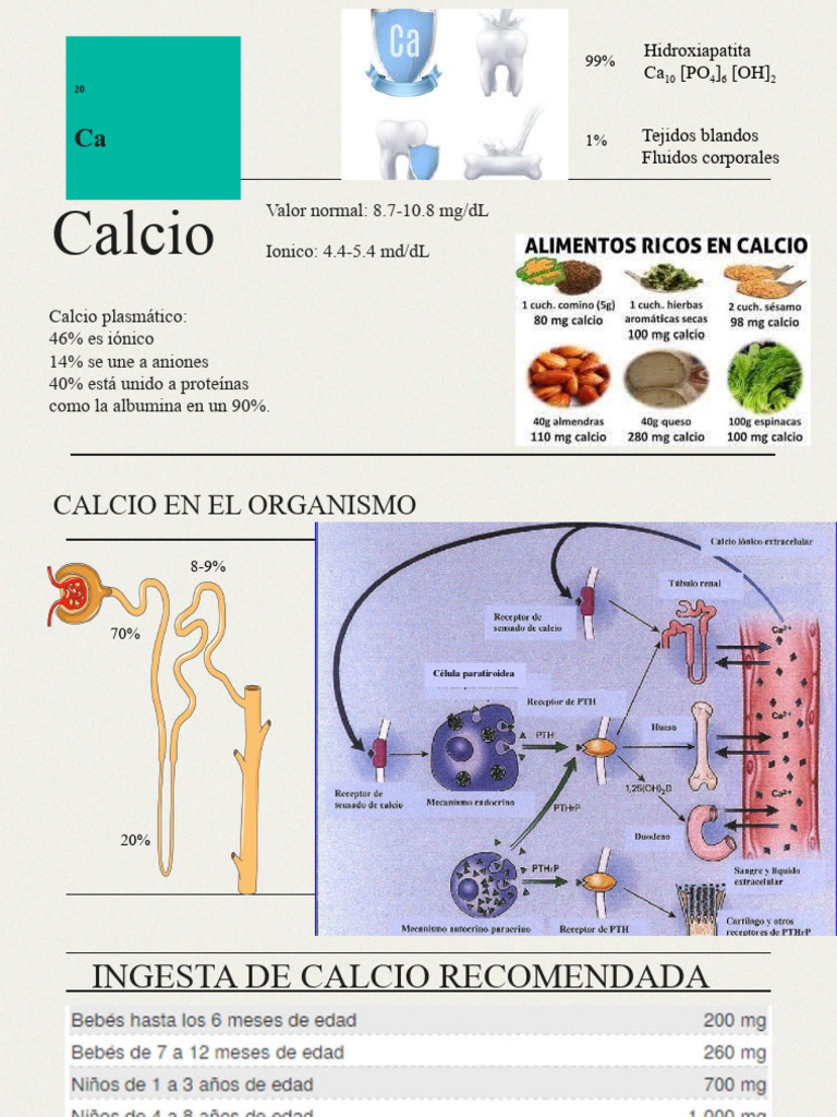 Guía sobre el Calcio: Funciones y Trastornos | PDF | Calcio | Hueso