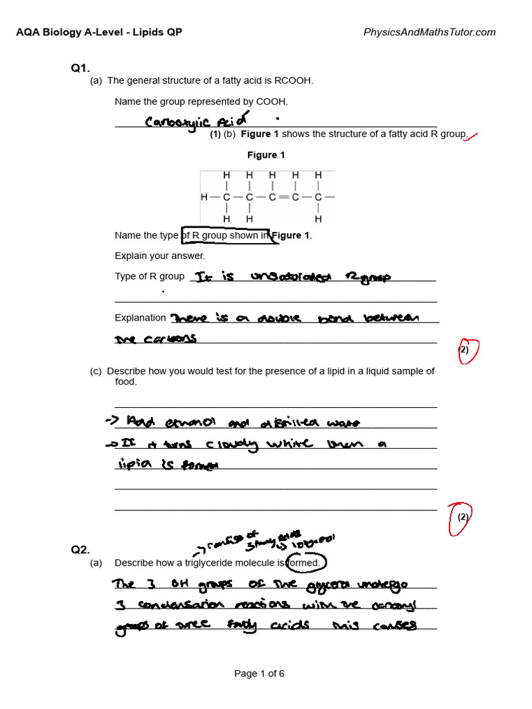 1.3 Lipids QP | PDF | Fatty Acid | Lipid