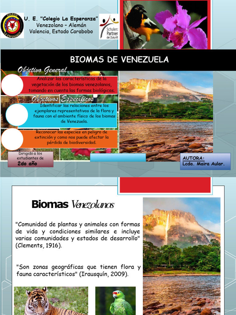 Biomas de Venezuela | PDF | Sabana | Ciencias de la Tierra