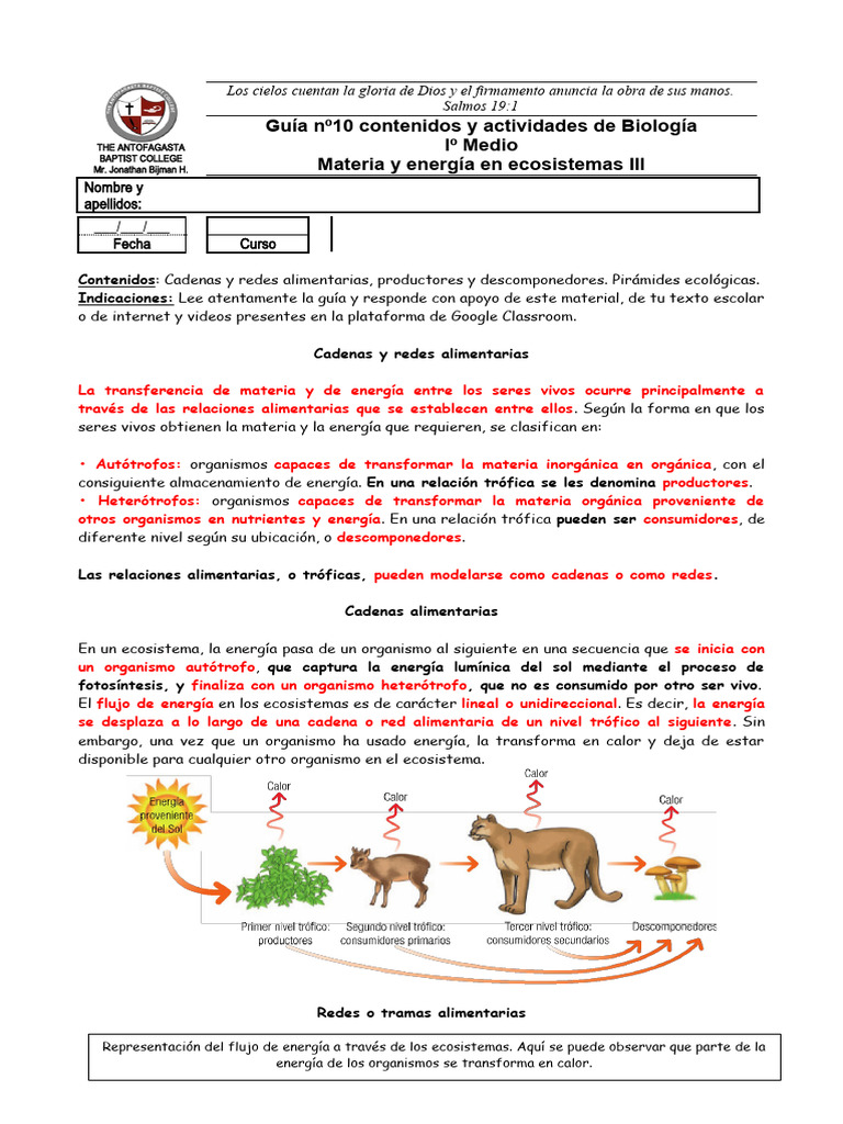 Actividades de Ecosistemas para Tercer Grado | PDF | Red alimentaria ...