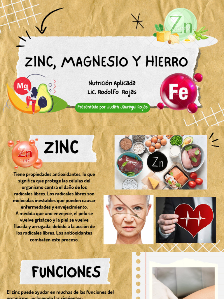 Zic, Magnesio y Hierro | PDF | Carne | Zinc