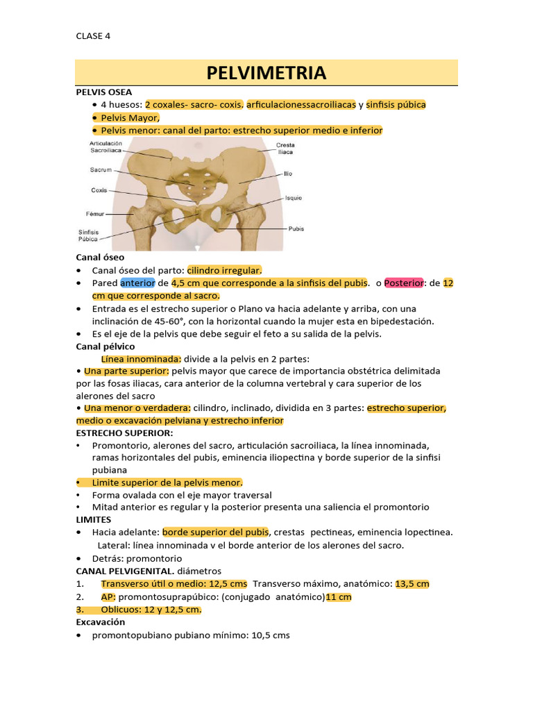Pelvimetría y Anatomía Fetal | PDF | Pelvis | El embarazo