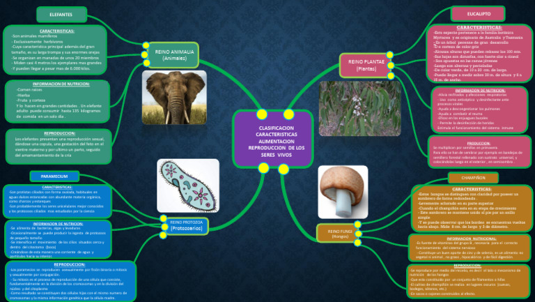 Mapa Mental Reinos Biología | PDF | Organismos | Biología