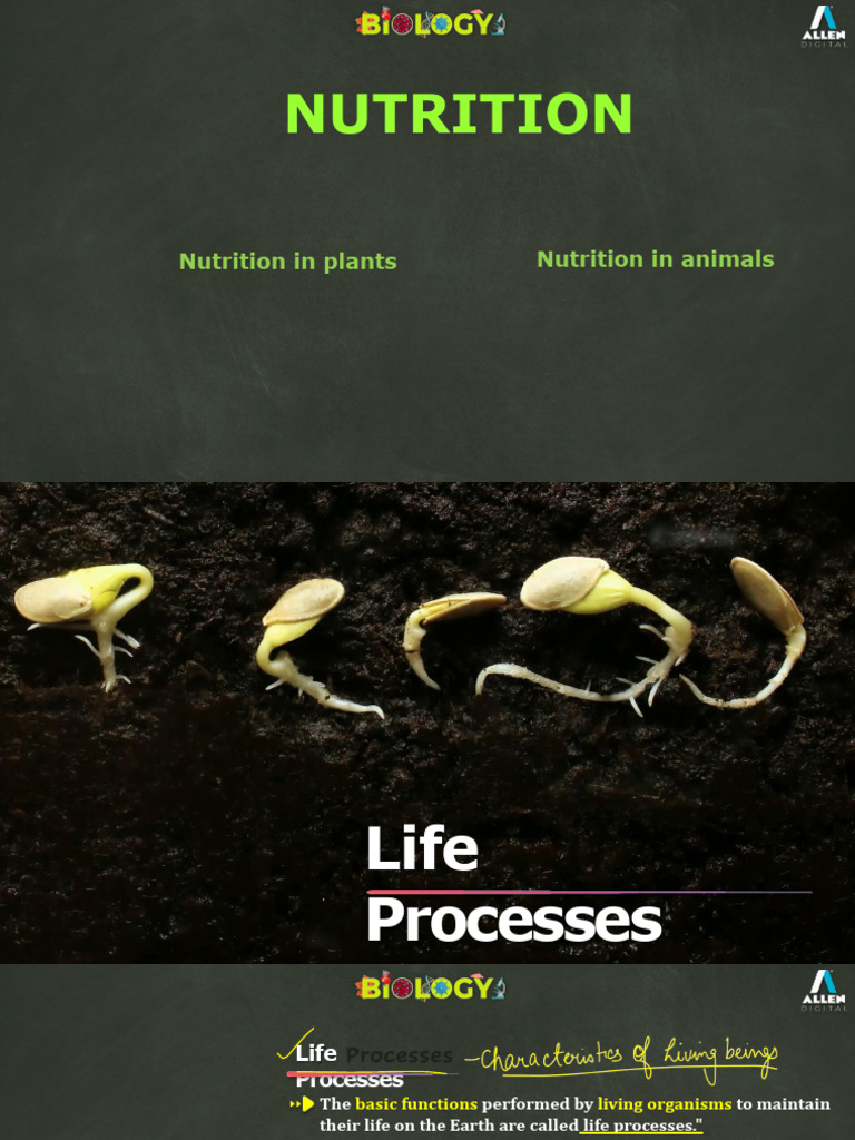 Bio Lec 1 | PDF | Life | Organisms