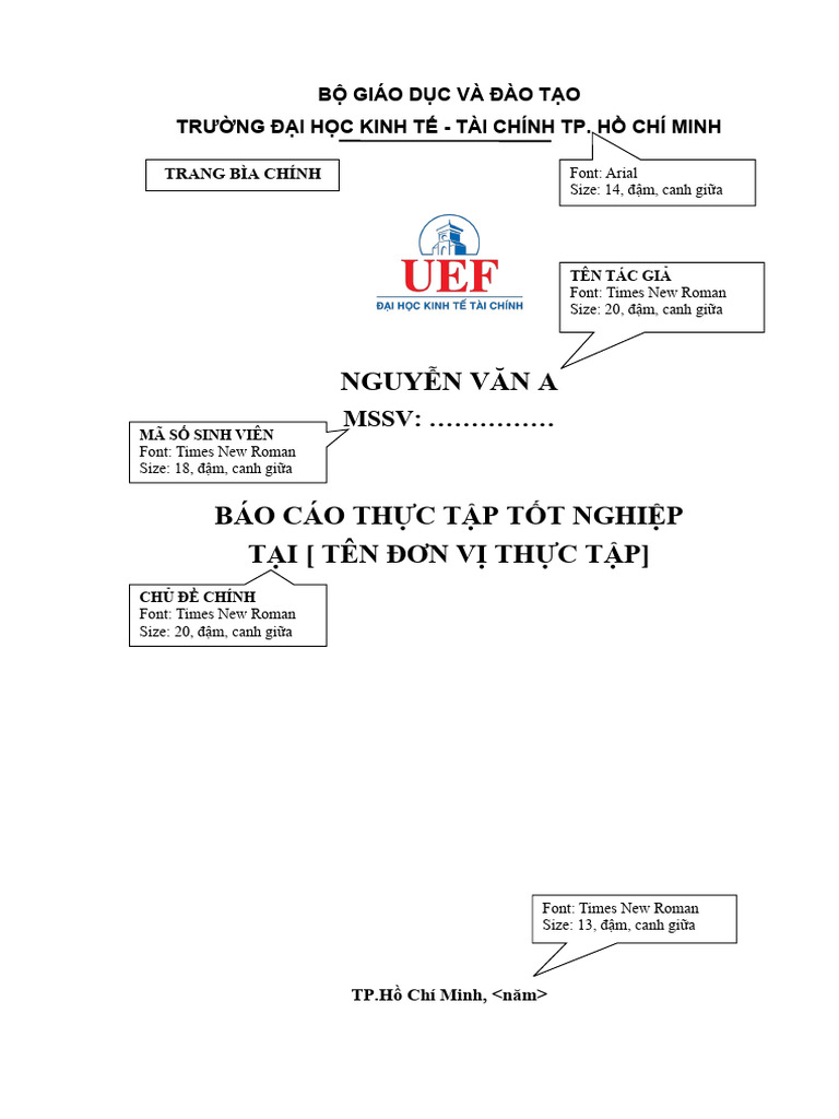 Mau - 04-Trang Bia Bao Cao TTTN | PDF