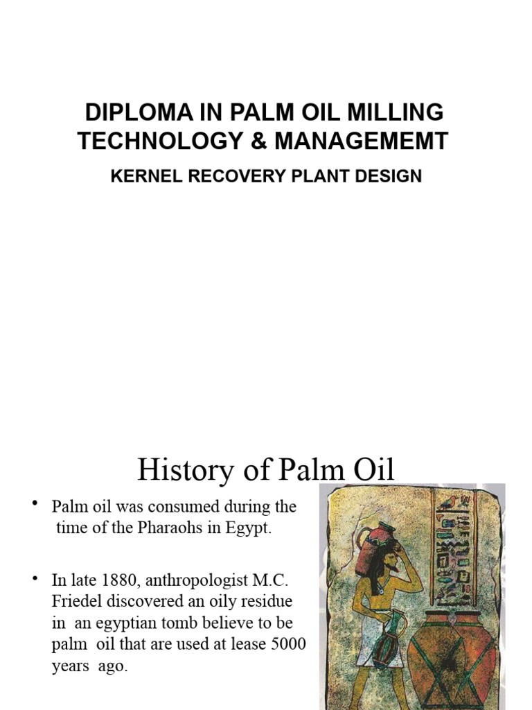 Kernel Station Equipment Design 2024 | PDF | Valve | Duct (Flow)