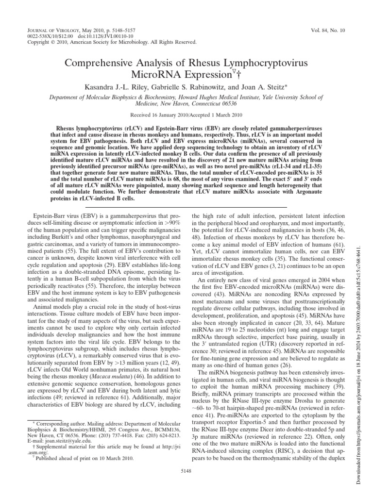 Comprehensive Analysis of Rhesus Lymphocryptovirus MicroRNA Expression ...