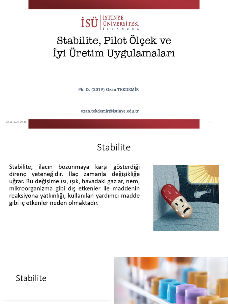 13-Stabilite Pilot GMP | PDF