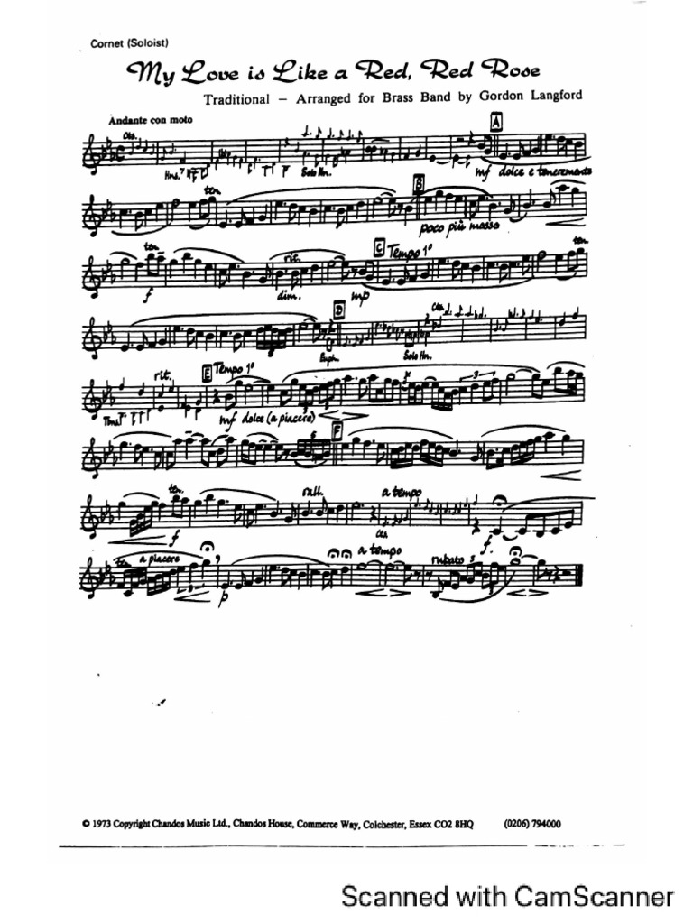 My Love Is Like A Red Red Rose | PDF