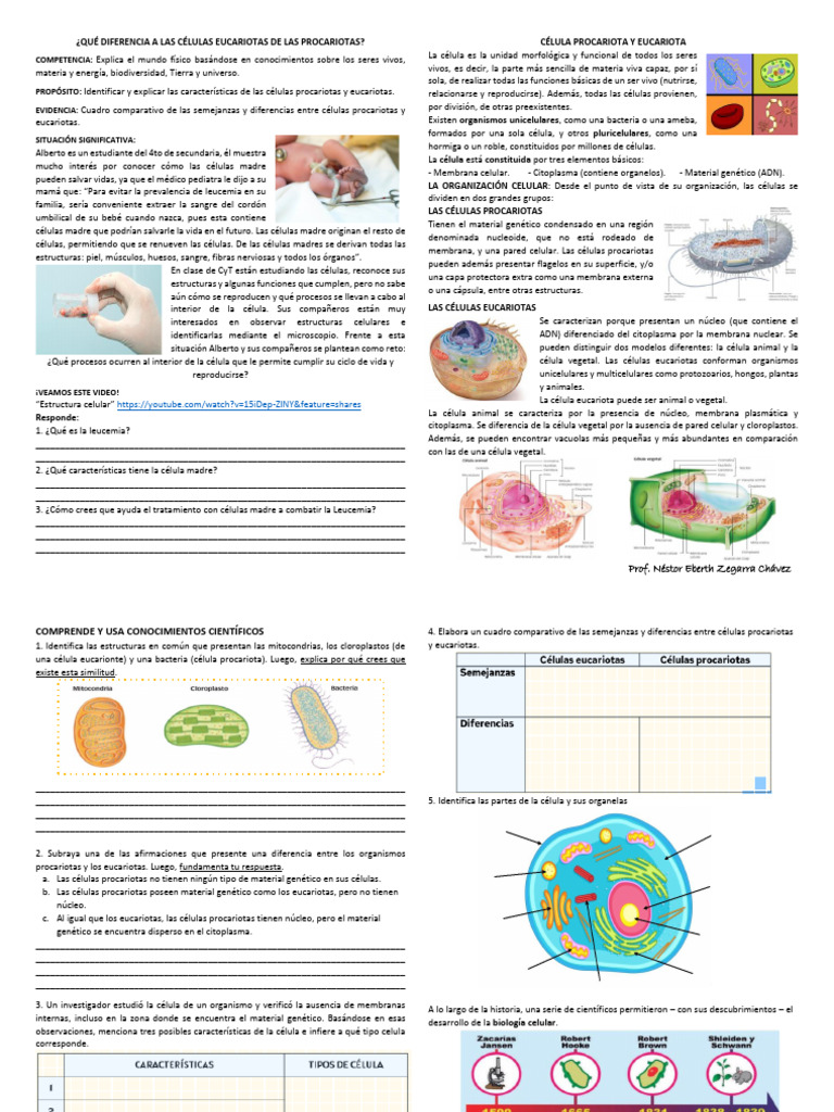 4° CyT QUÉ DIFERENCIA A LAS CÉLULAS EUCARIOTAS DE LAS PROCARIOTAS | Descargar gratis PDF ...