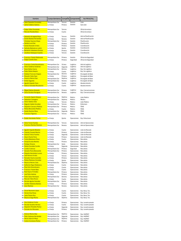 Lista de Roles Eru Usar Revisar | PDF