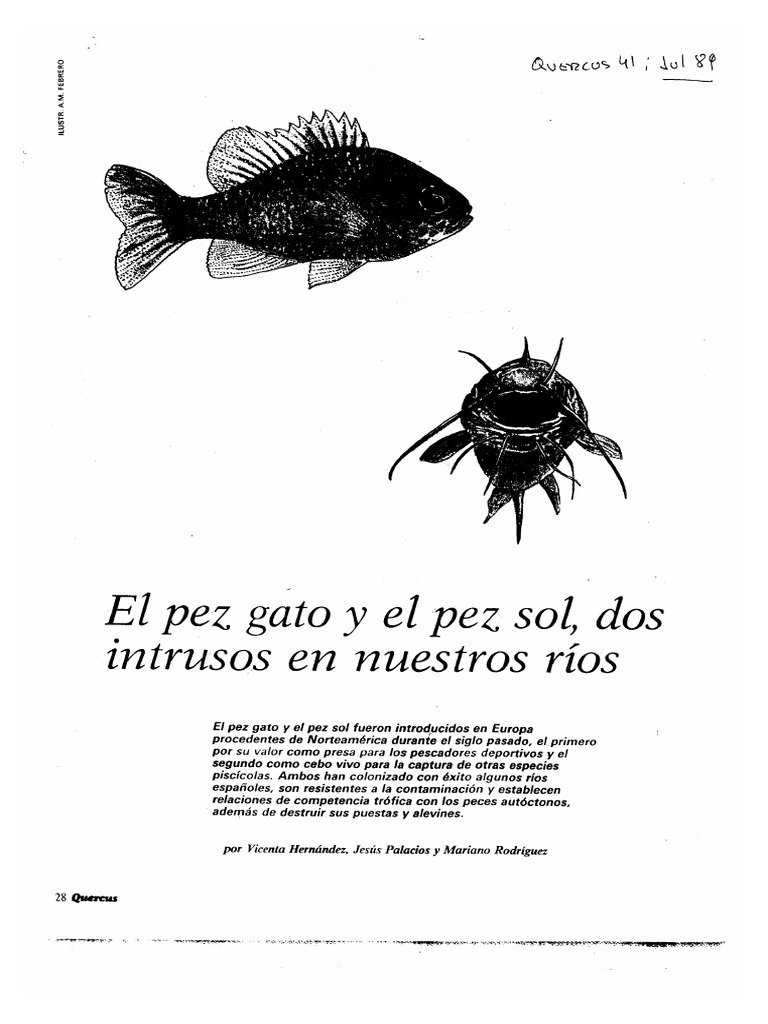 pez gato y pez sol | PDF