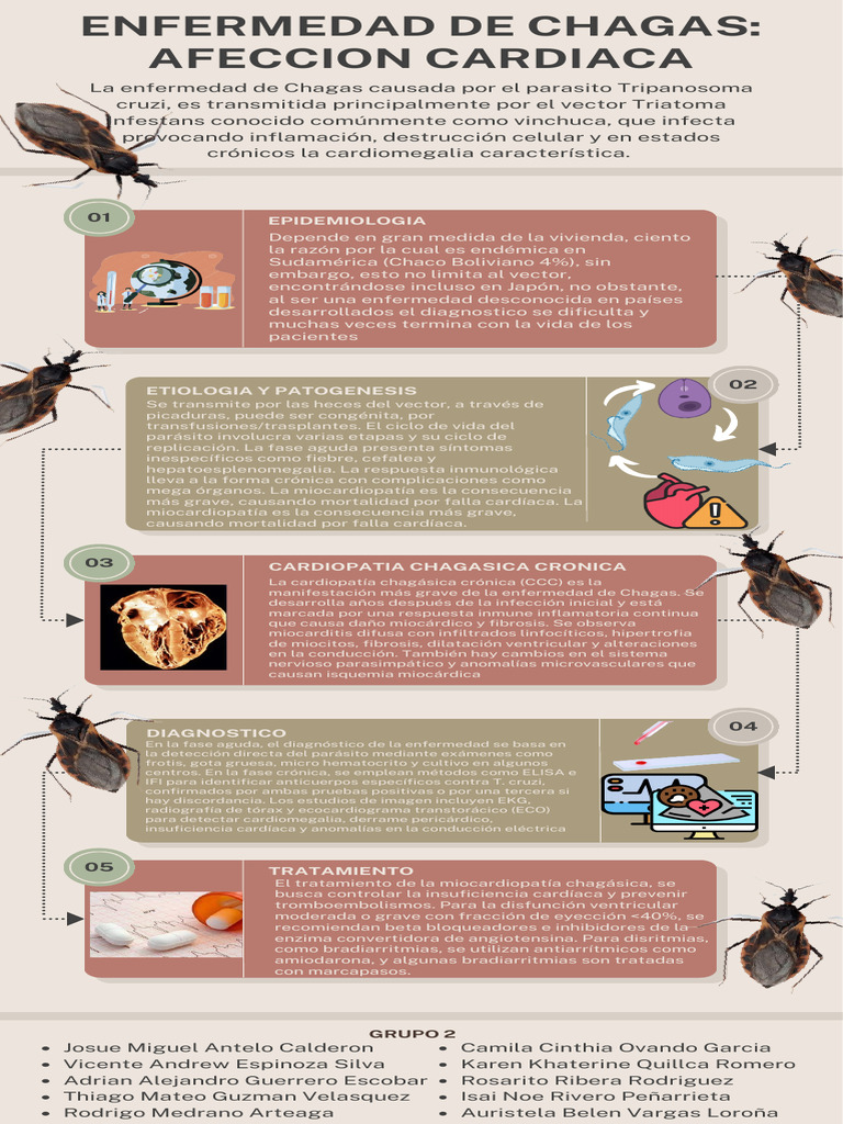 Infografia chagas | Descargar gratis PDF | Especialidades Medicas ...
