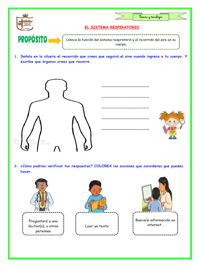 Ficha Educativa del Sistema Respiratorio | PDF | Sistema respiratorio ...