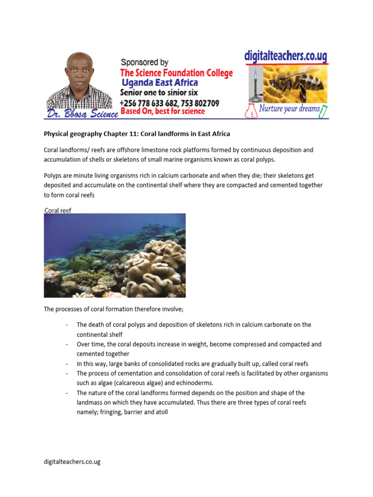 Physical Geography Chapter 11 Coral Landforms Pdf Coral Reef Coral