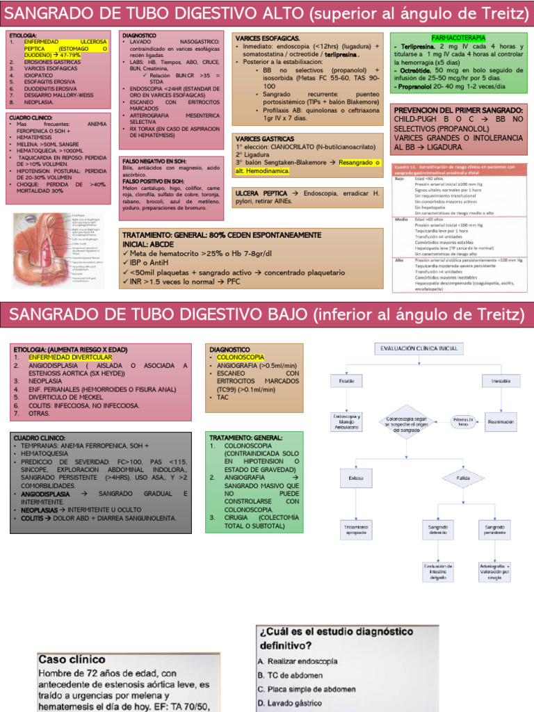 STD Flashcards PDF | PDF | Enfermedades digestivas | Especialidades Medicas