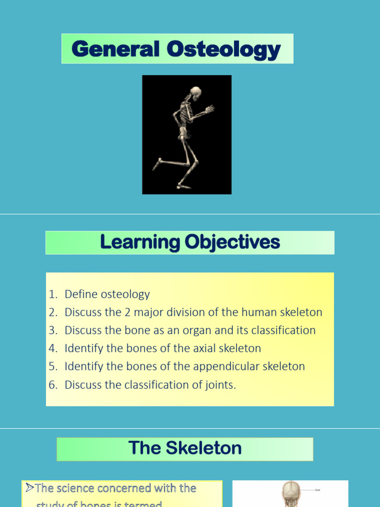 Introduction to Osteology Basics | PDF | Vertebra | Vertebral Column