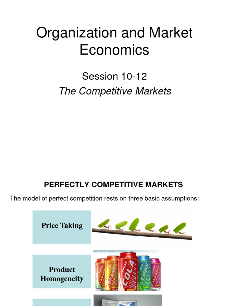 Competitive Market Economics Overview | PDF | Profit (Economics) | Perfect Competition