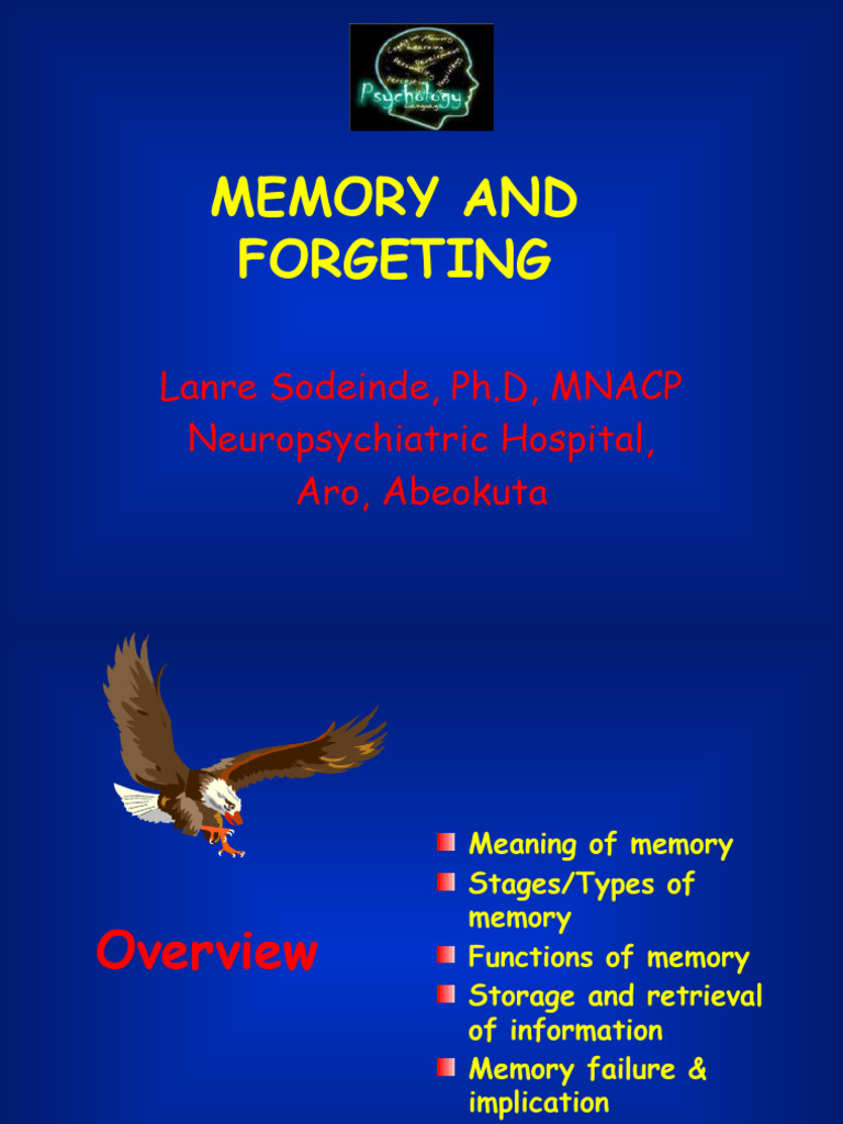 2019 Memory and Forgeting Basic Revision Notes | PDF | Memory | Amnesia