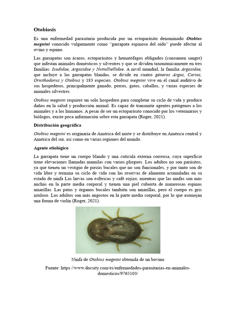 Otobius megnini: Impacto en Equinos | PDF | Especialidades Medicas