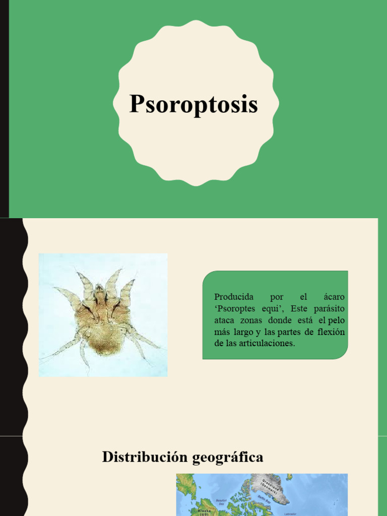 Infestación por Otobius megnini en equinos | PDF | Especialidades ...