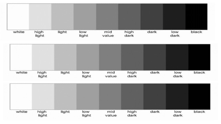 Tonal Scale Strips for Printing (1) | PDF