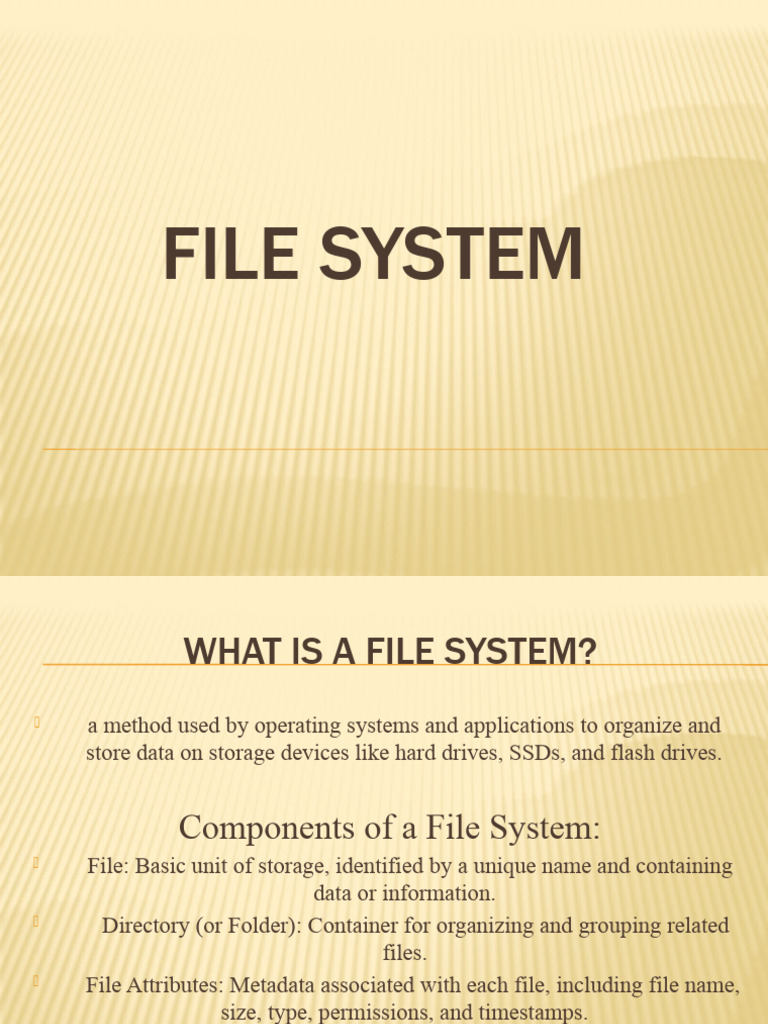 File System | PDF