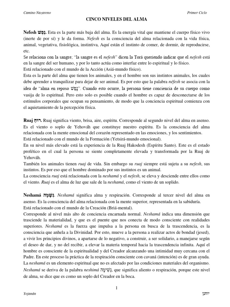 CINCO NIVELES DEL ALMA-apuntes | PDF | Alma | Las emociones