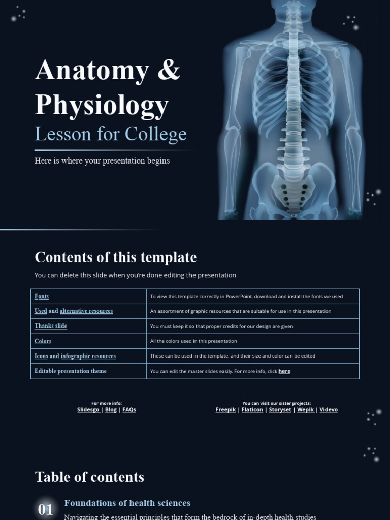 Anatomy & Physiology Lesson For College by Slidesgo | PDF ...
