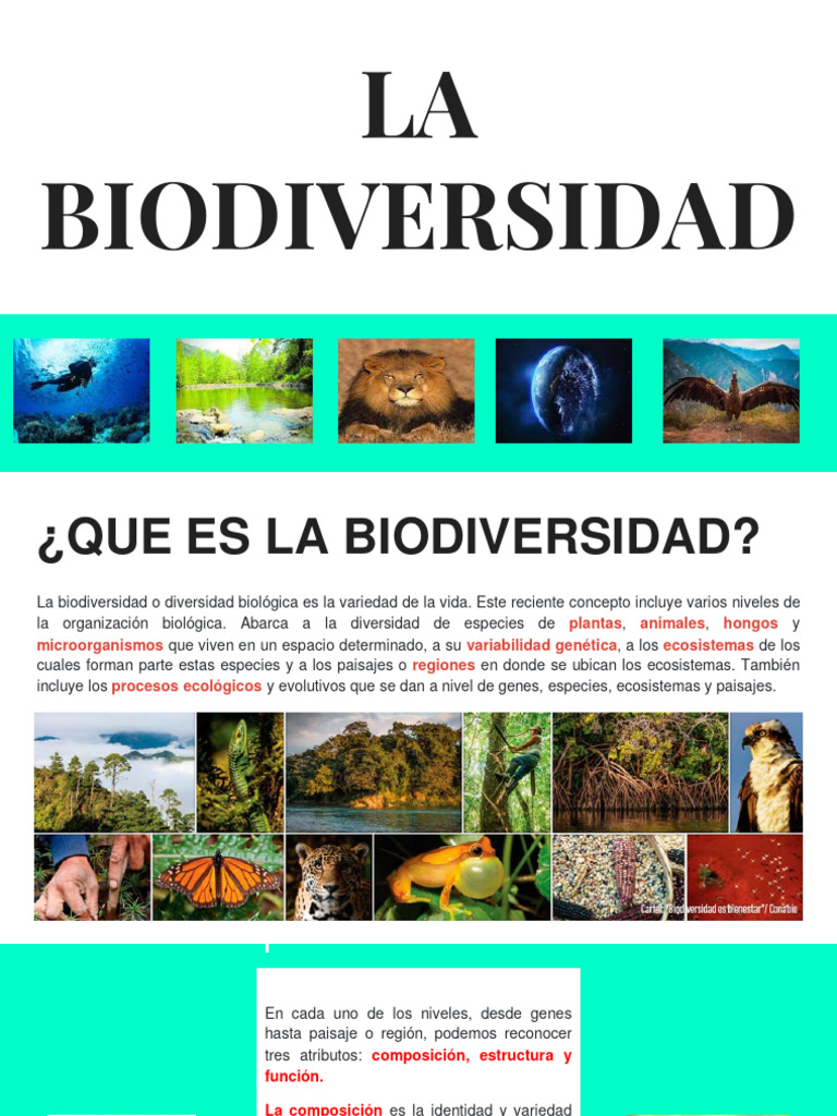 Jean Francis Acosta | PDF