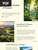 Flora and Fauna of Manipur Updated | PDF