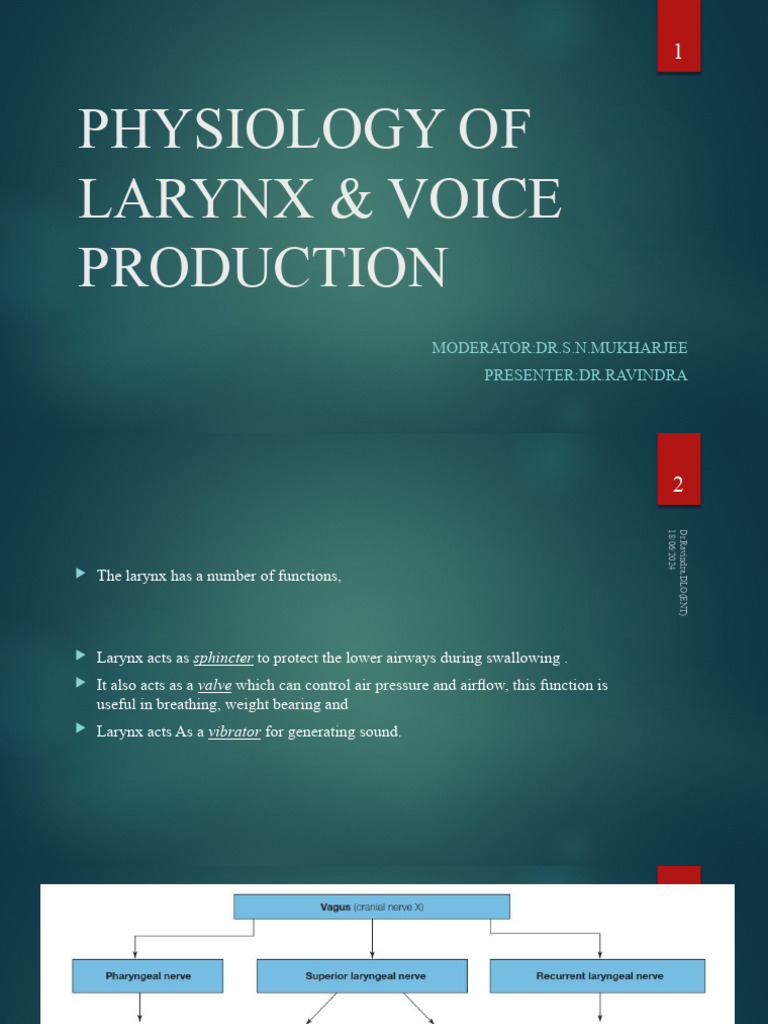 Fdocuments In Physiology Of Larynx Theories Of Voice