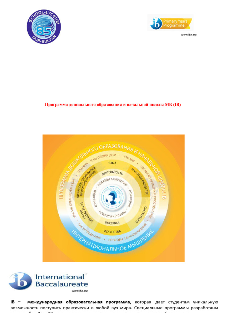 ключевые элементы PYP | PDF