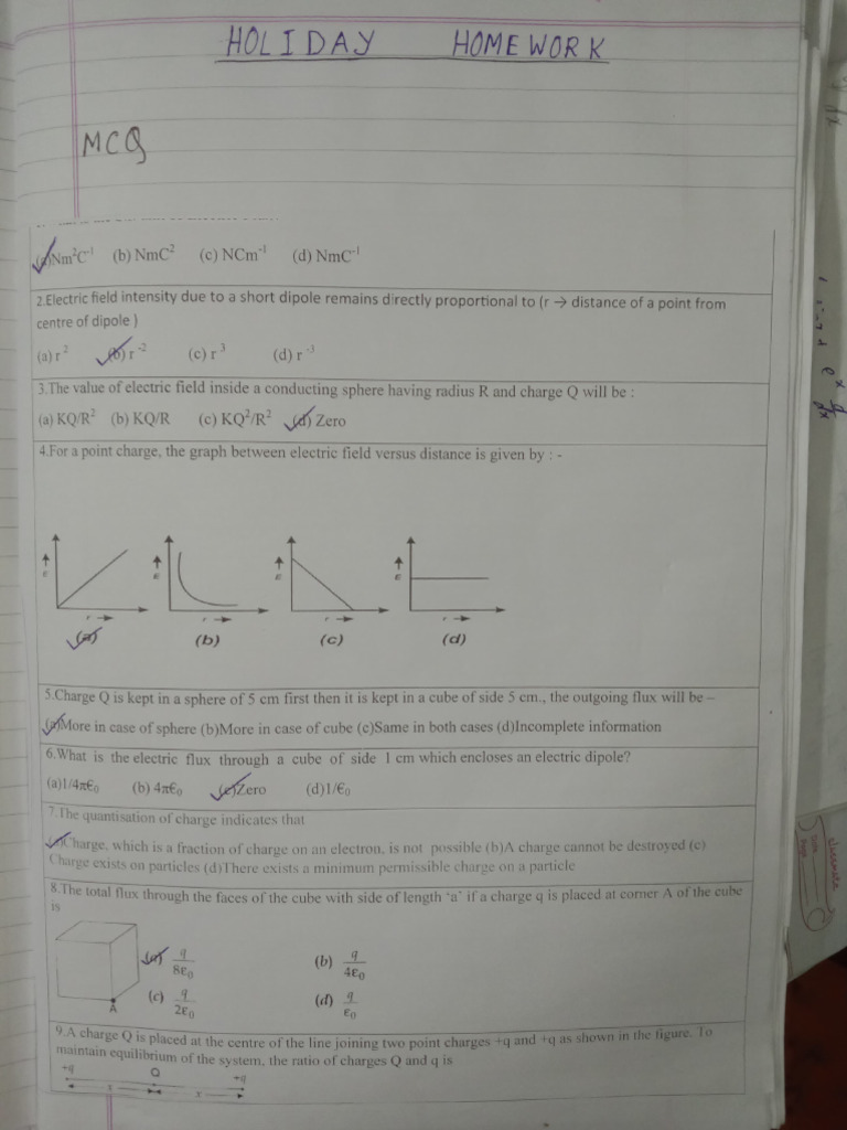 Physics Holiday Homework | PDF