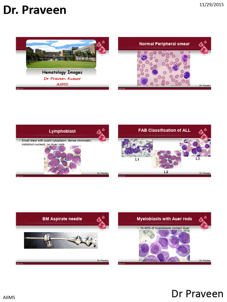 Pathology Images (All in One Merged) | PDF | Anemia | Blood Type