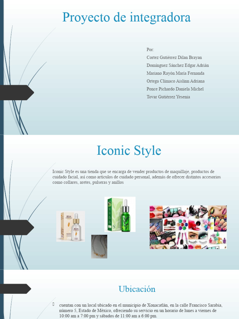 Proyecto de Integradora | PDF