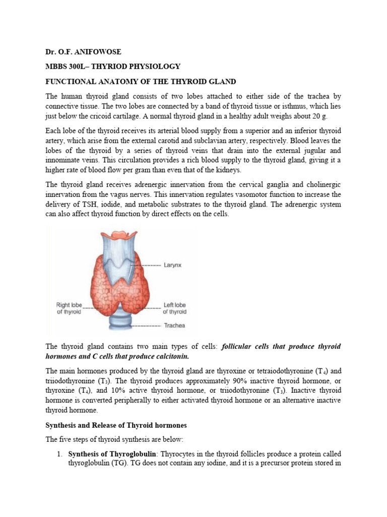 Thyriod Physiology | PDF | Thyroid | Thyroid Stimulating Hormone